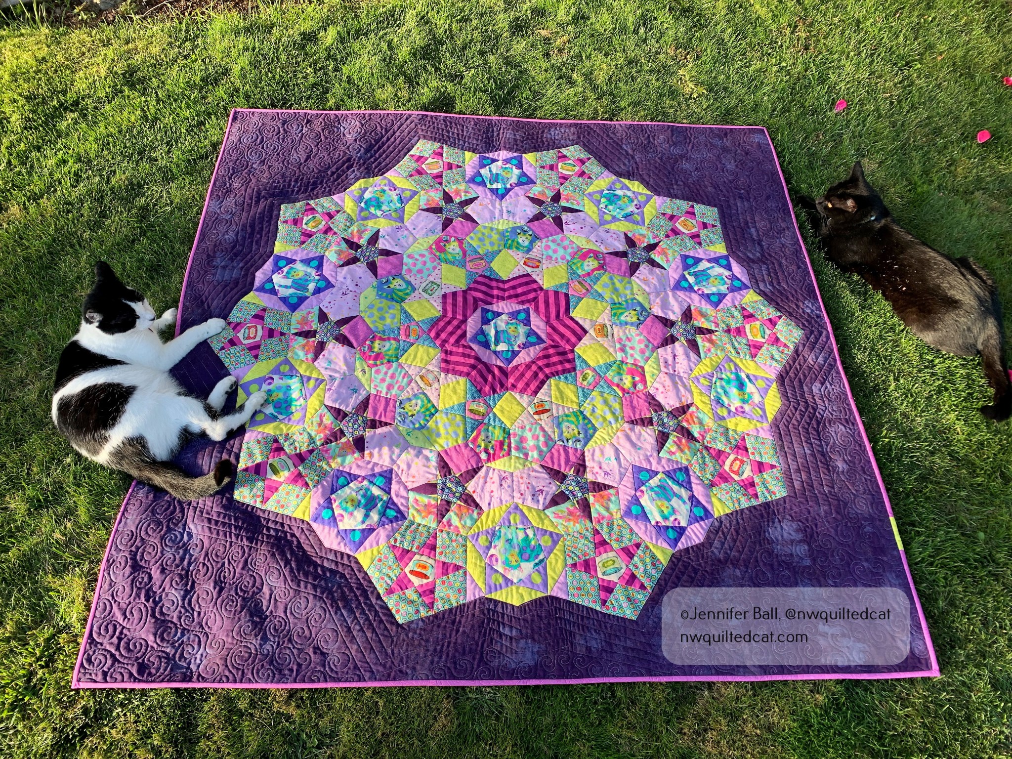 A Completed Tula Nova Quilt! | NW Quilted Cat