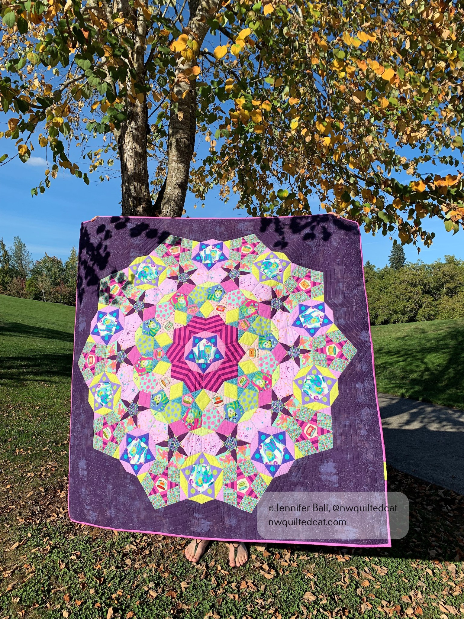 A Completed Tula Nova Quilt! | NW Quilted Cat